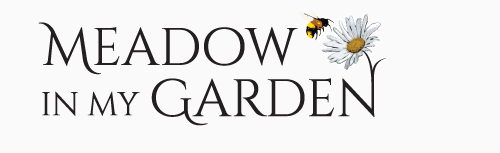 Meadow in My Garden - Wildflower Gardening, Seeds & Gifts